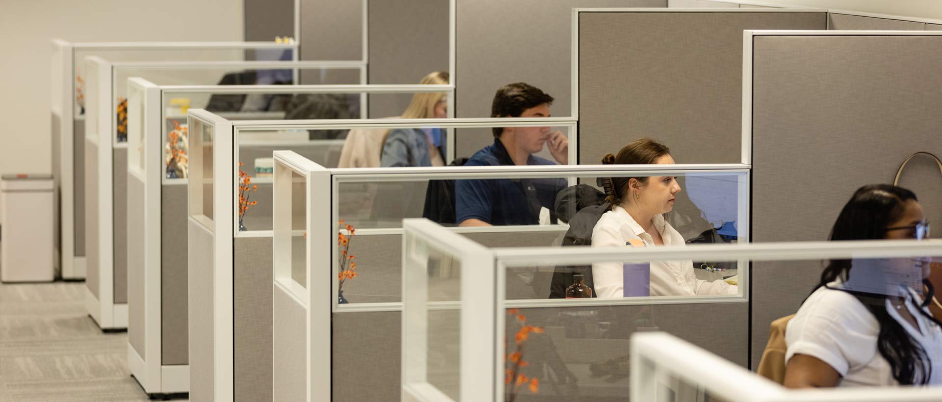 Life At Meitheal Pharmaceuticals - Worldwide Sourcing. Local Connections.