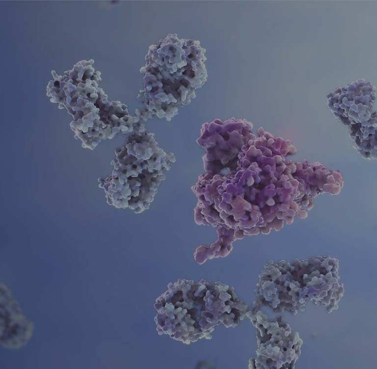 Meitheal Pharmaceuticals - Worldwide Sourcing. Local Connections.